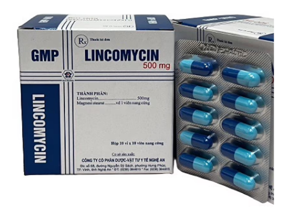 Lincomycin 500mg Nghệ An (hộp 10 vỉ x 10 viên)
